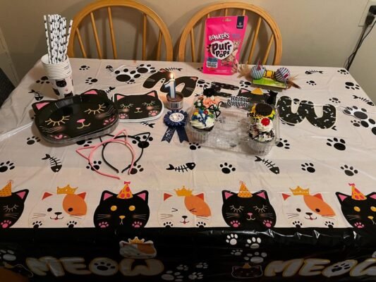 Purr-fect Cat Birthday Party Ideas Kids Will Love - WishesFusion🌟