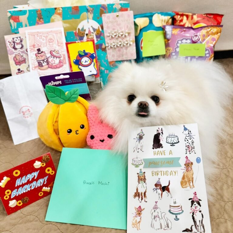 29 Dog Birthday Gift Ideas to Make Your Pup’s Day Special