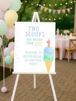 20 Twins Birthday Party Themes | Fun & Creative Ideas