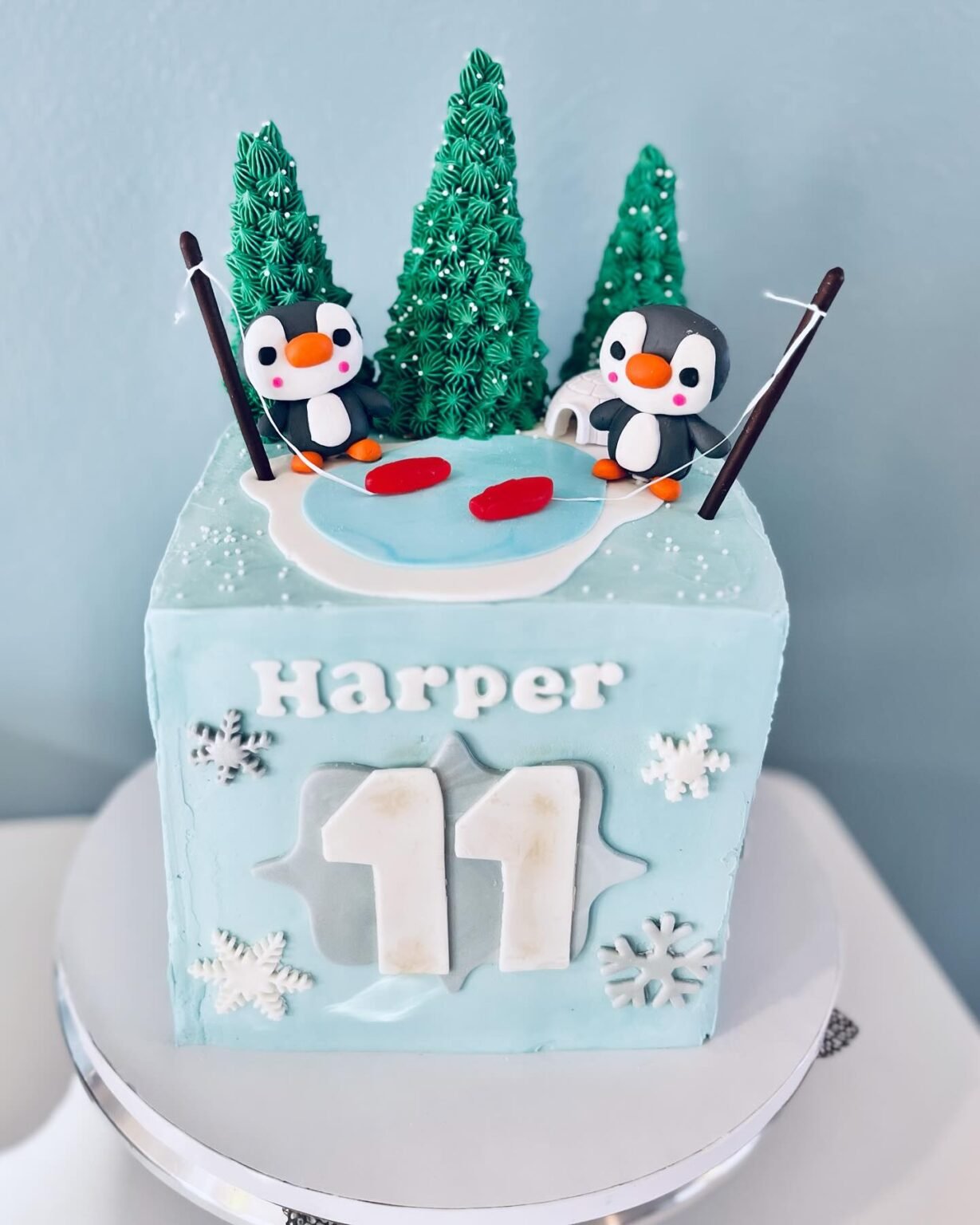 20 Cozy & Creative Winter Birthday Cake Ideas