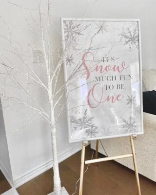 20 Magical Winter Birthday Party Ideas | Cozy & Creative Celebration ...